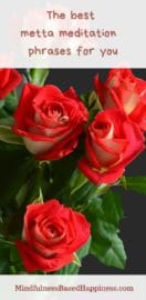 The Best Metta Meditation Phrases for You - Mindfulness Based Happiness